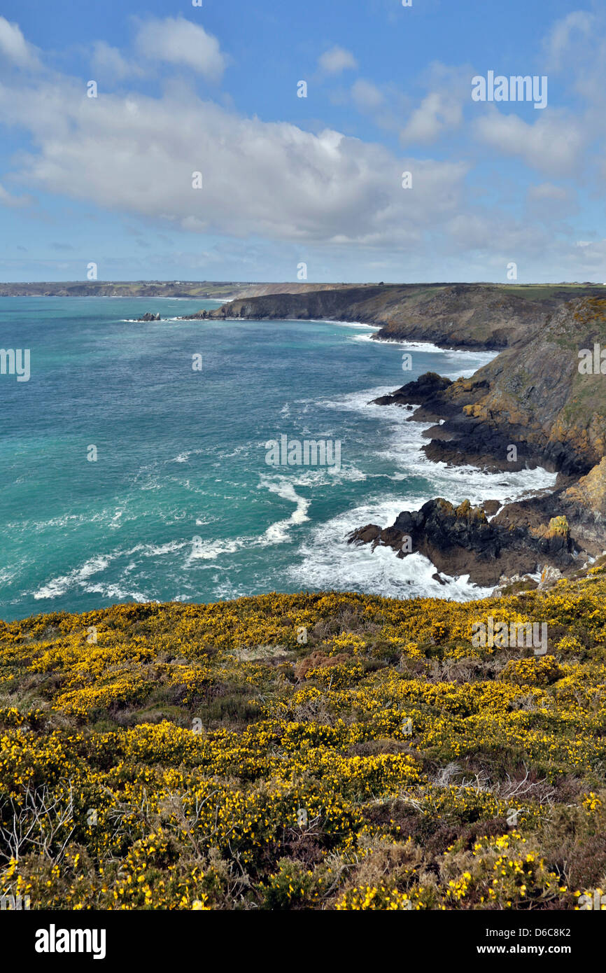 Beagles Point; Lizard; Cornwall; UK Stock Photo - Alamy