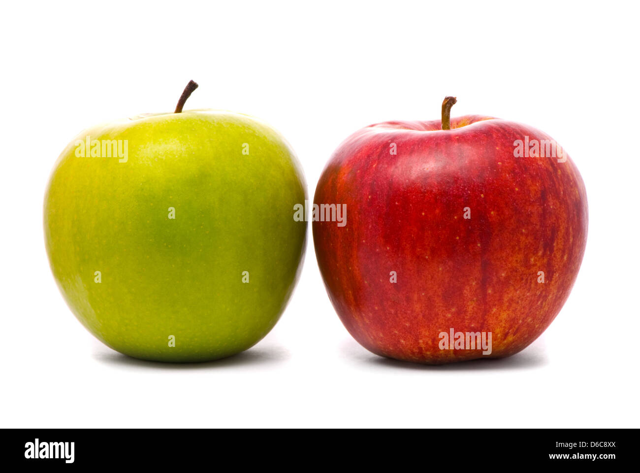 Green ecosystem Cut Out Stock Images & Pictures - Alamy