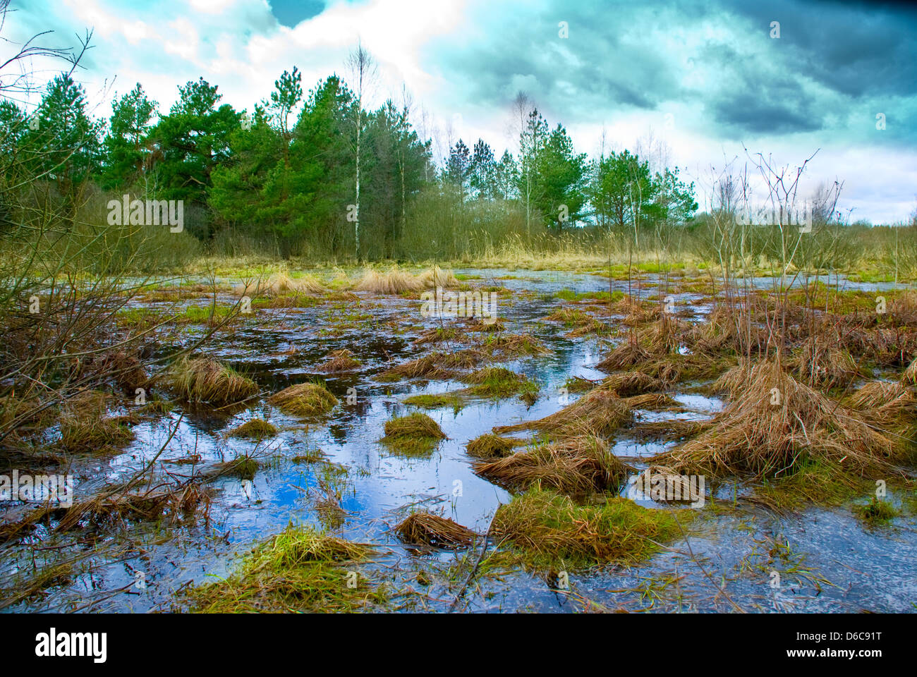 Belorussian hi-res stock photography and images - Alamy