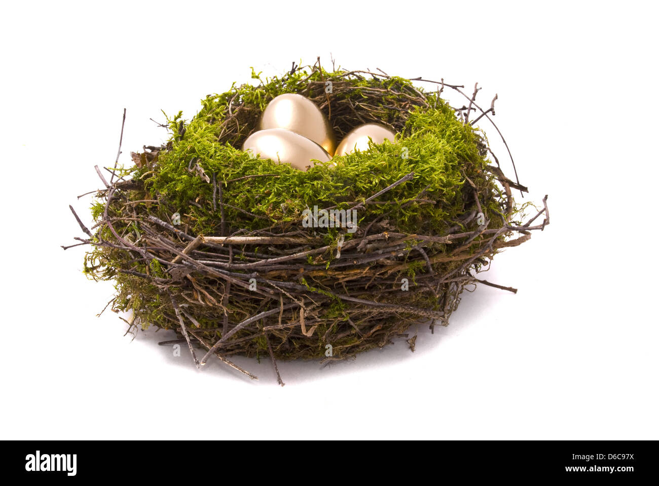 Nest cash Cut Out Stock Images & Pictures - Alamy