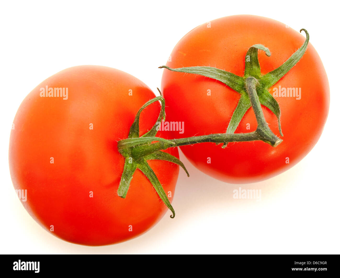Gardening with tomatoes Cut Out Stock Images & Pictures - Alamy