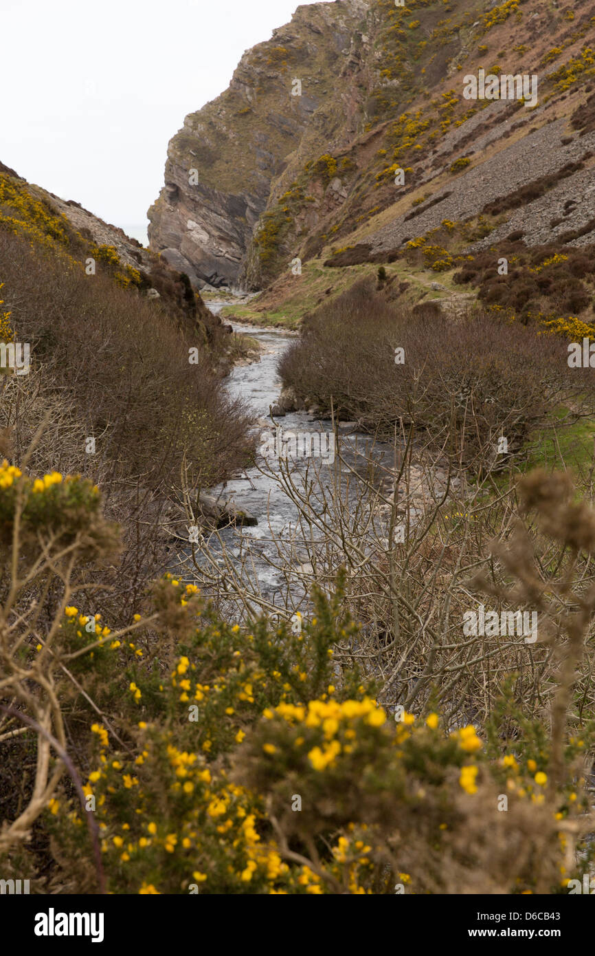 Heddon Valley Exmoor National Park Devon leading to beach at Heddons ...