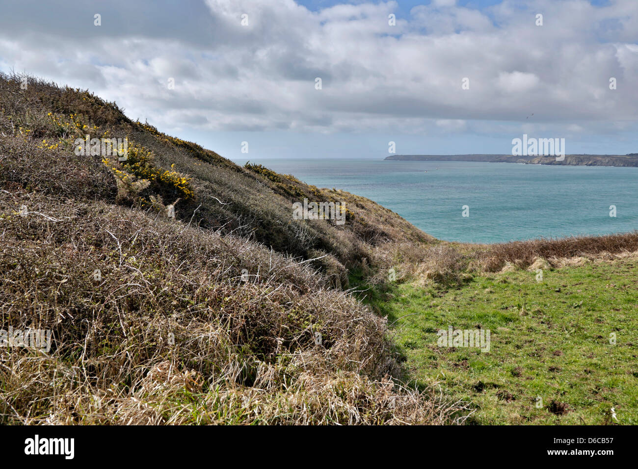 Lankidden; Lizard; Cornwall; UK Stock Photo - Alamy
