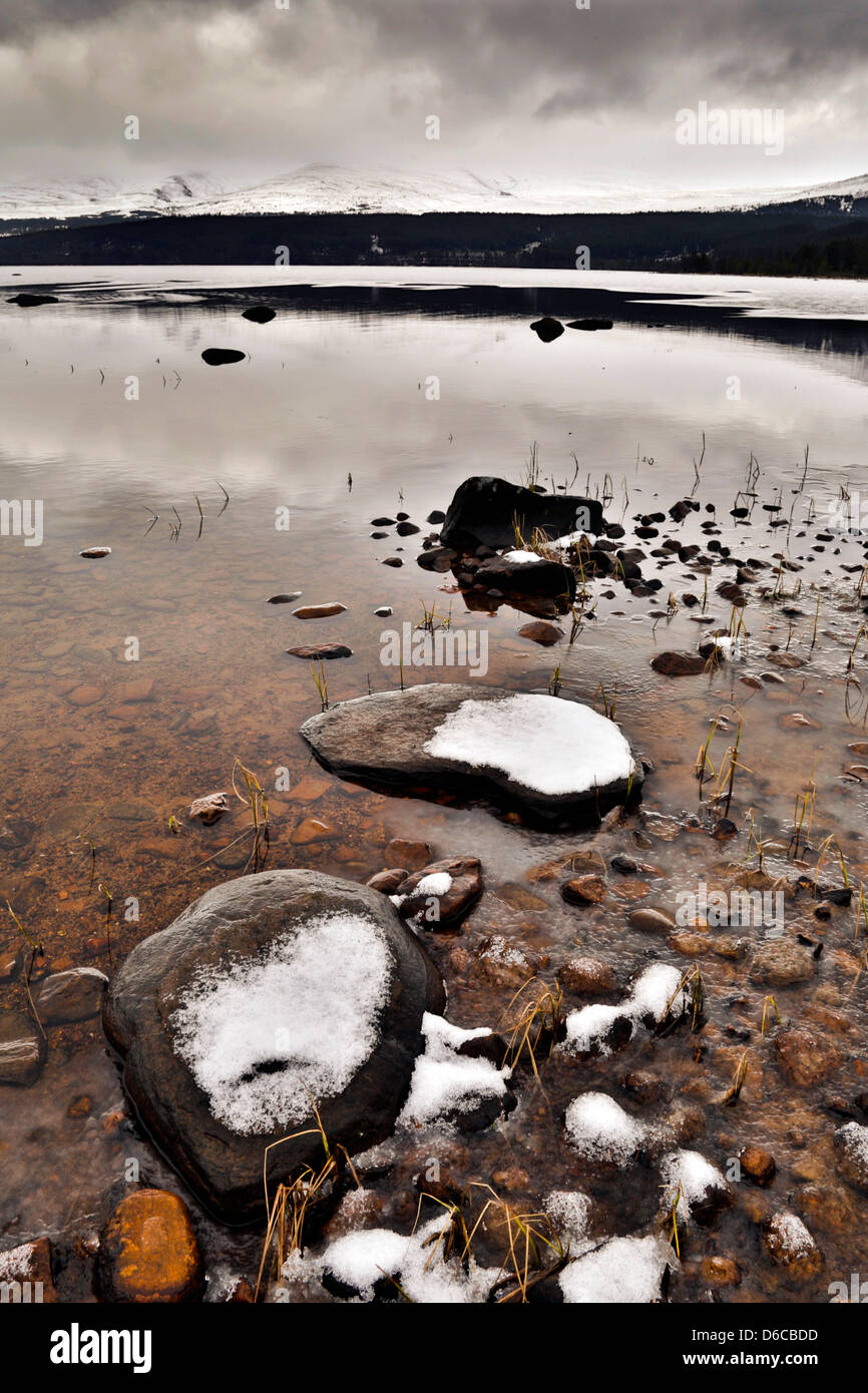 Loch Morlich; Winter; Near Aviemore; Scotland; UK Stock Photo - Alamy