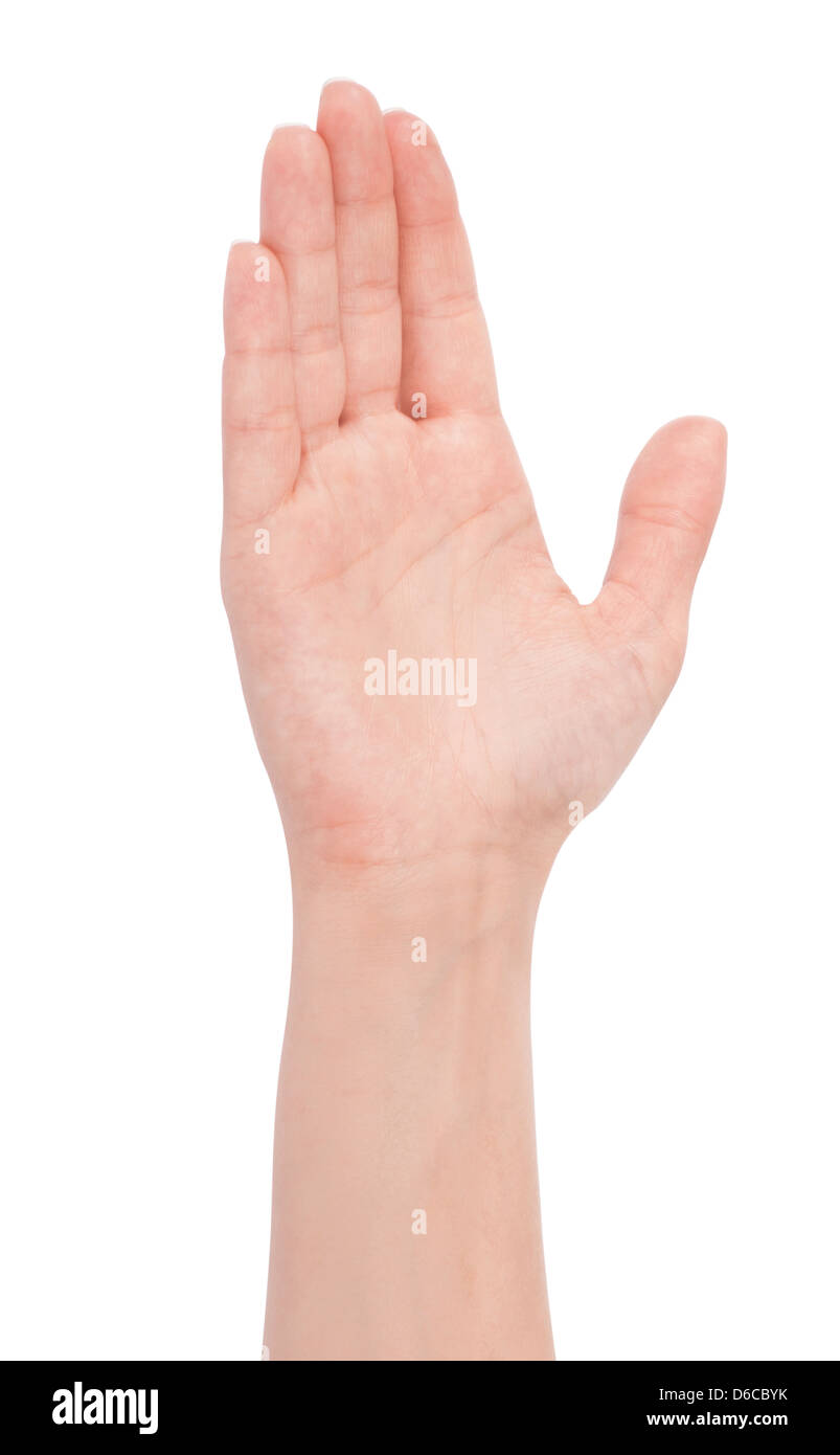 Empty open woman hand on white background Stock Photo - Alamy