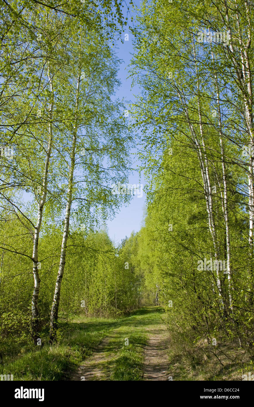 O sunny hi-res stock photography and images - Alamy