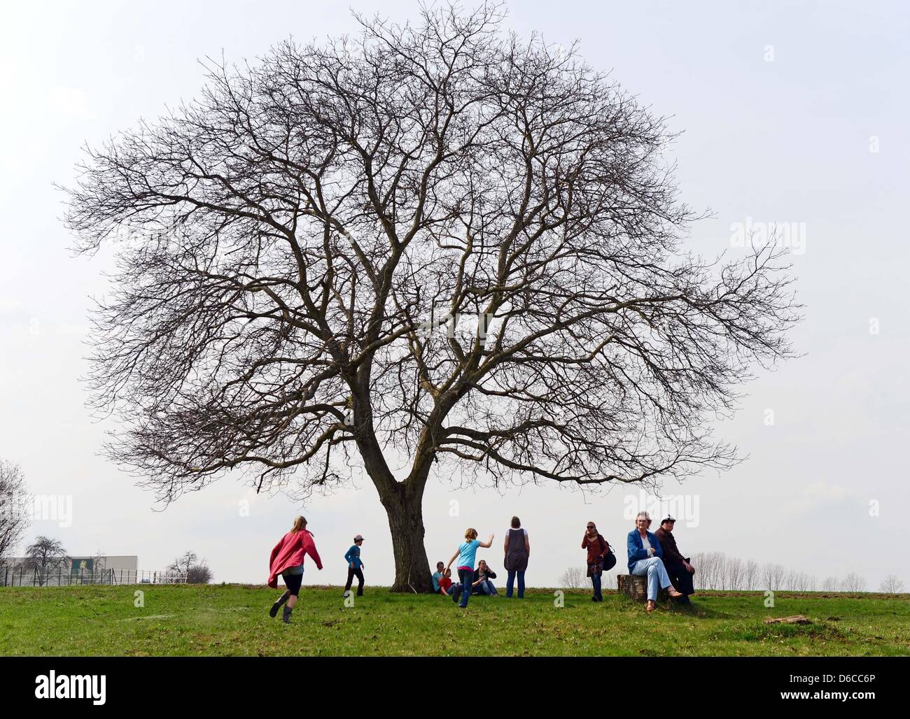 Children play under a tree in the spring temperatures in Heichelheim ...