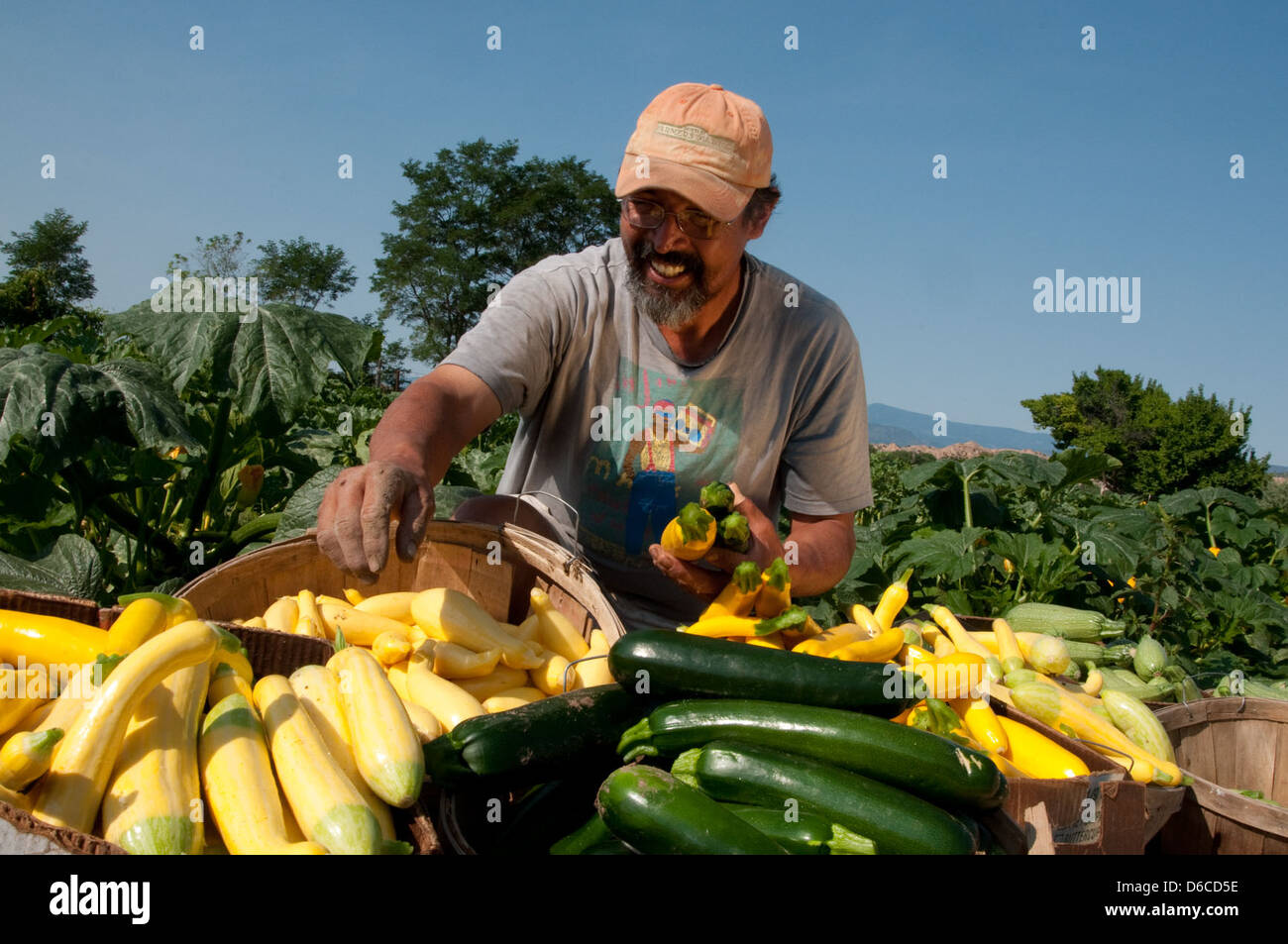 This image highlights the research on plant-based fuels conducted at ...