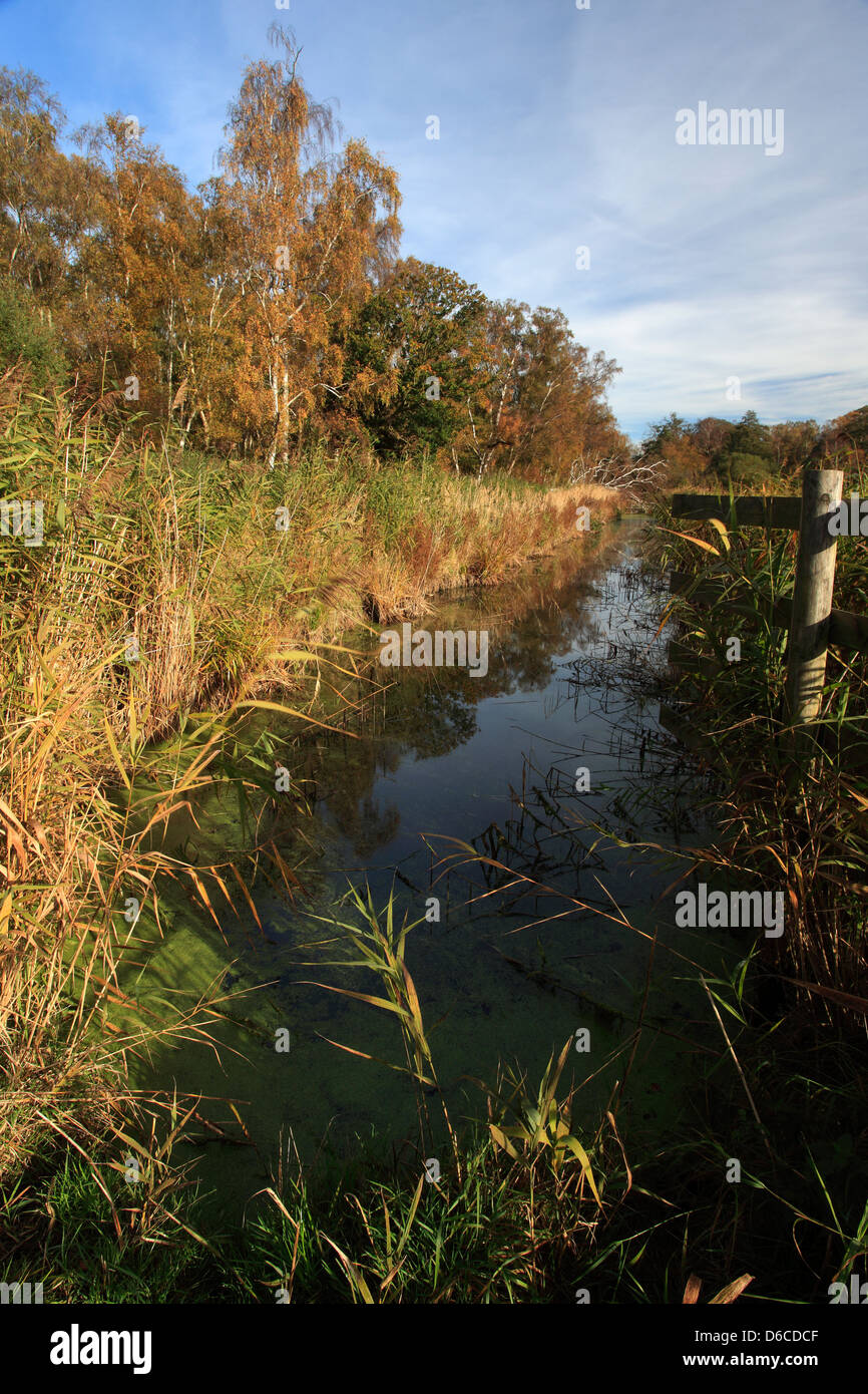 English nature hi-res stock photography and images - Alamy