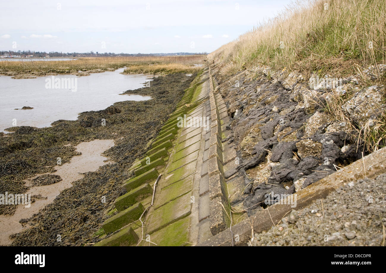 Reinforced flood defence bank on the River Deben, Sutton, England Stock ...