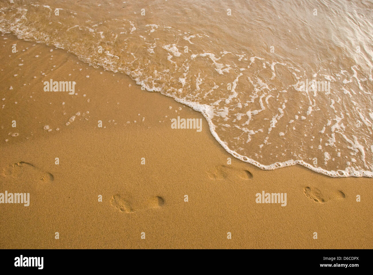 Track on the beach hi-res stock photography and images - Alamy