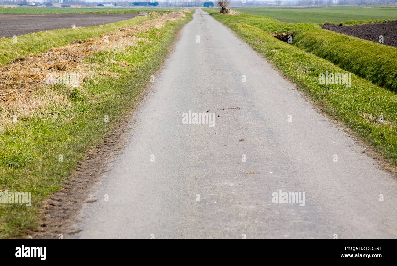 Small road crossing Fenland landscape near Southerly, Norfolk, England ...