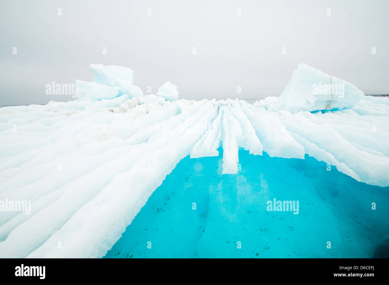Small icebergs ice floes in hi-res stock photography and images - Alamy