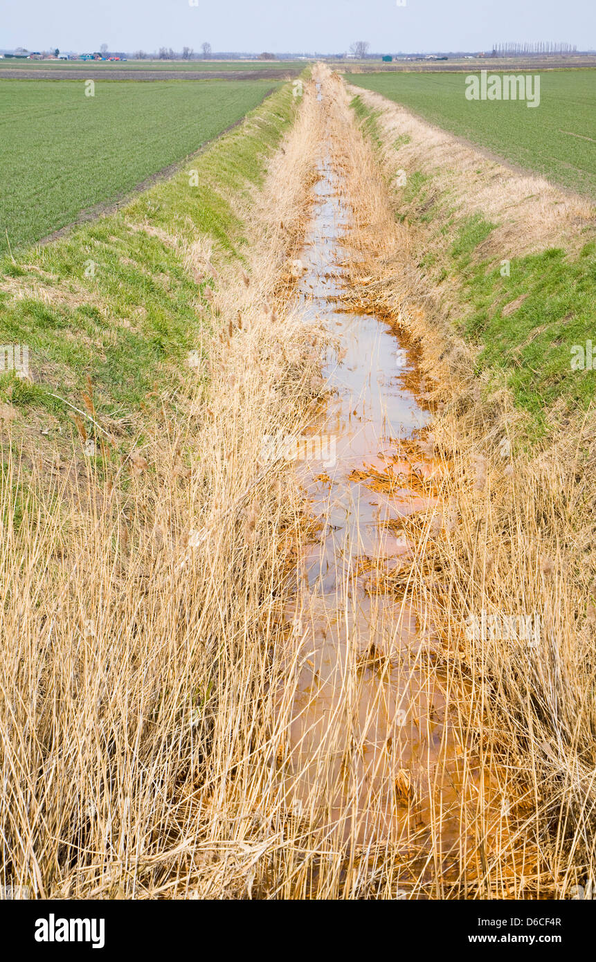 Flat fen landscape england hi-res stock photography and images - Alamy