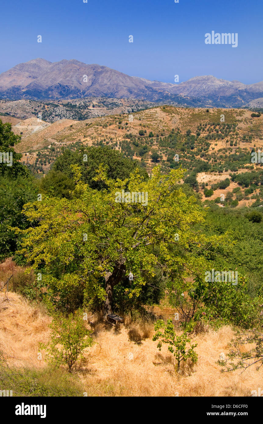 Anogia, Crete, Greece. View from the town Stock Photo - Alamy
