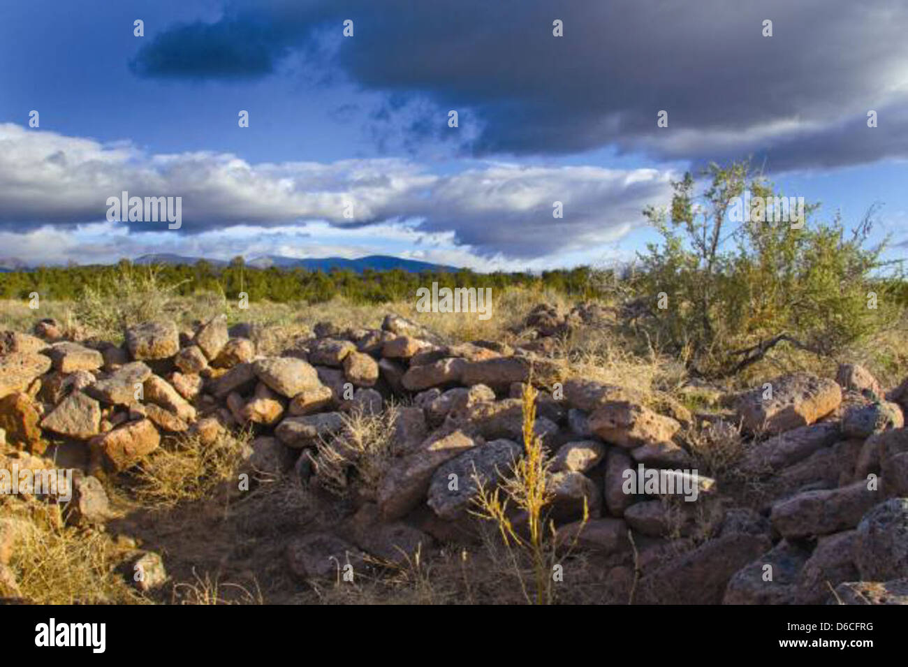 This image shows the ruins of a structure at Los Alamos National ...