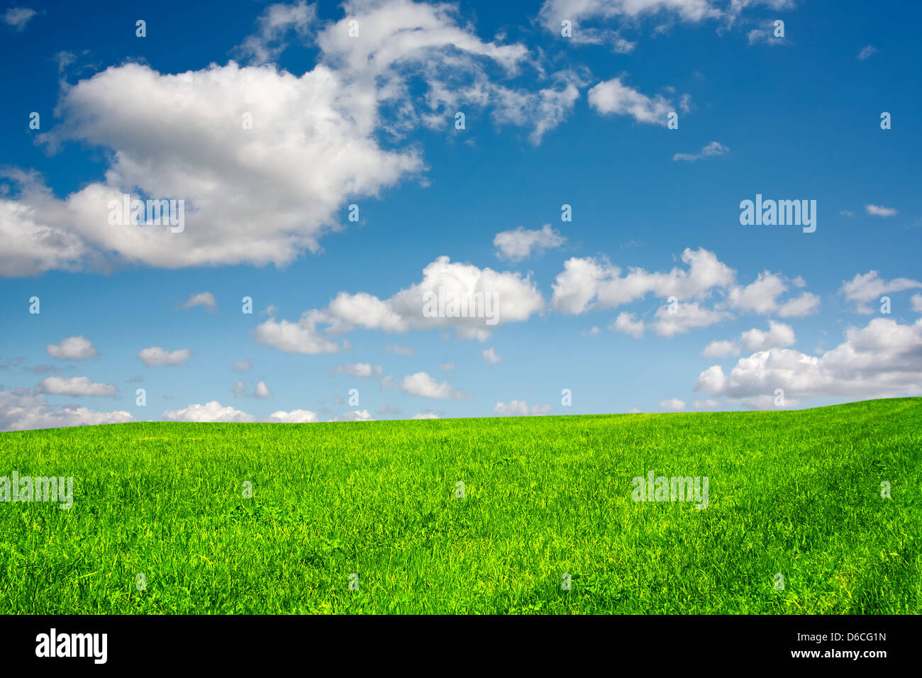 Field and blue sky Stock Photo - Alamy