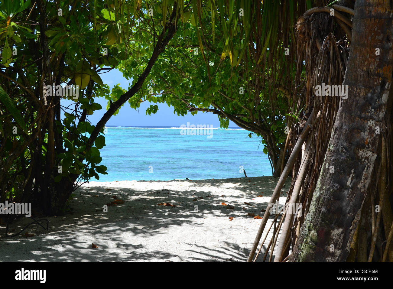 View in Meeru Island Stock Photo - Alamy
