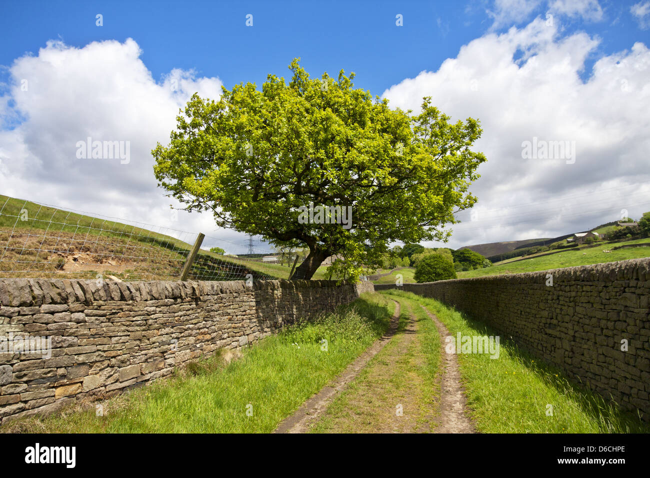 Green foliage over village hi-res stock photography and images - Alamy