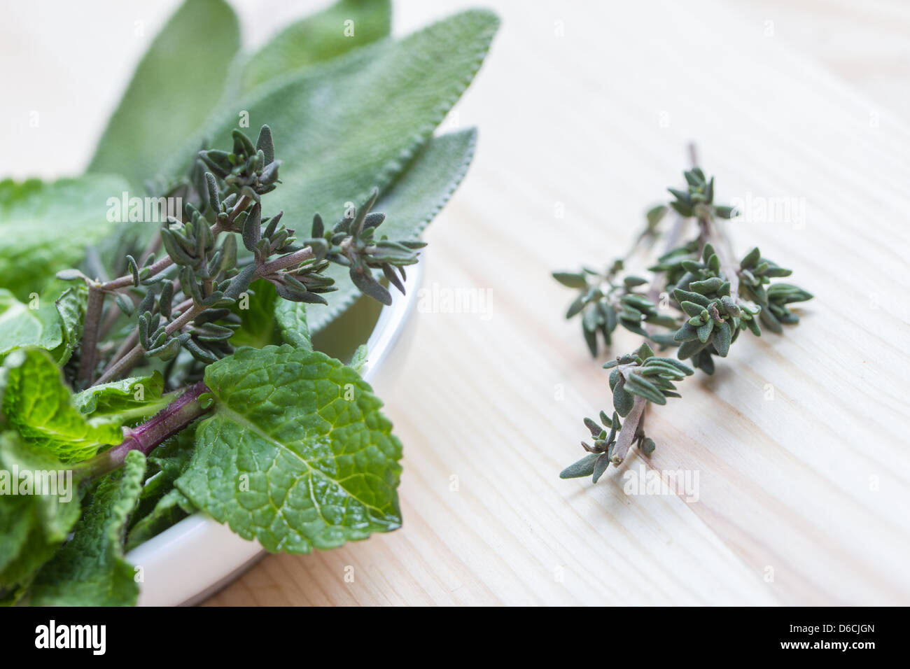 fresh green herbs Stock Photo - Alamy