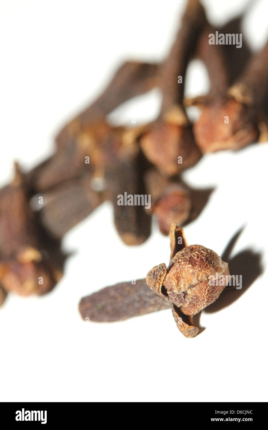 cloves in front of a white background Stock Photo - Alamy