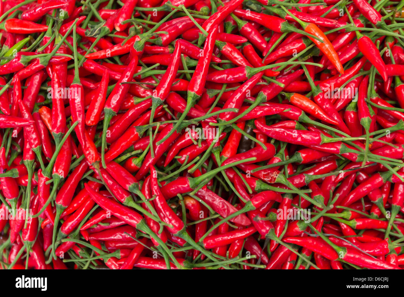 The picture shows a pile of small, red, very hot and spicy chilli ...