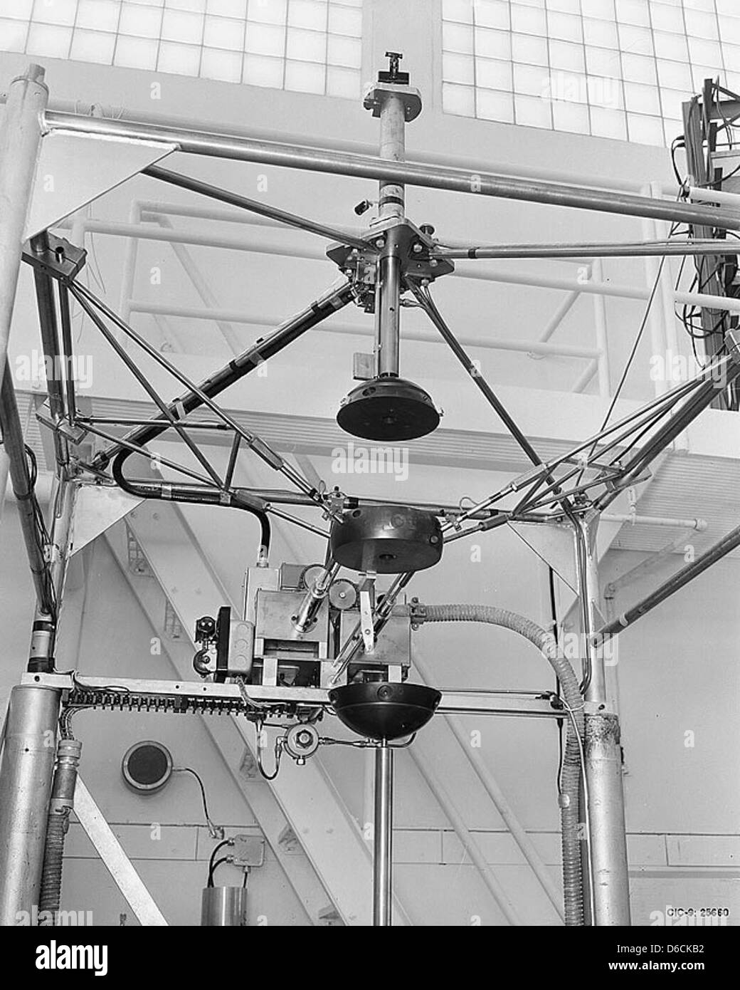 Lady godiva Black and White Stock Photos & Images - Alamy