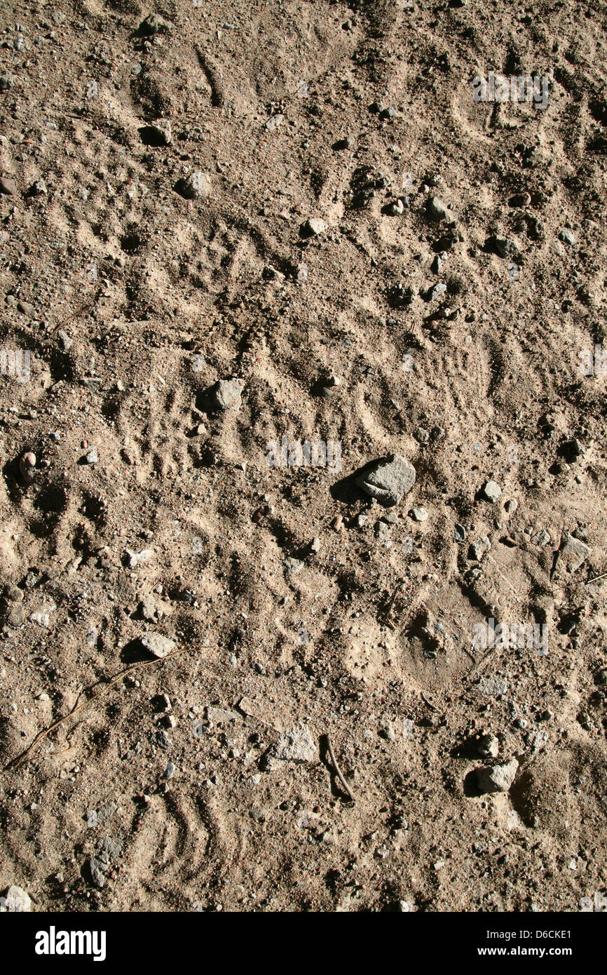 sand background grains nature texture Stock Photo - Alamy