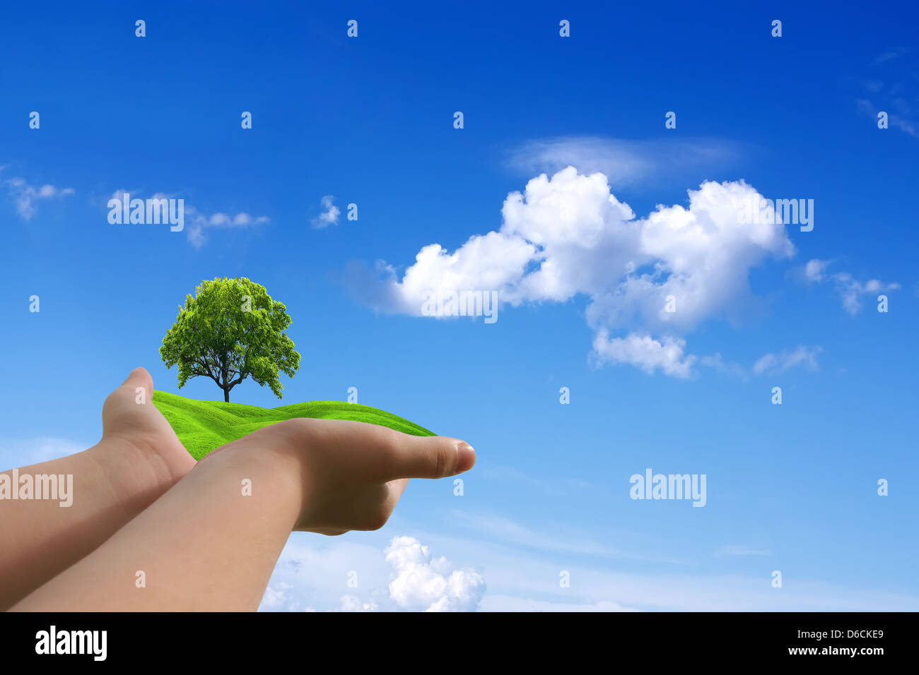 The gift of nature Stock Photo - Alamy