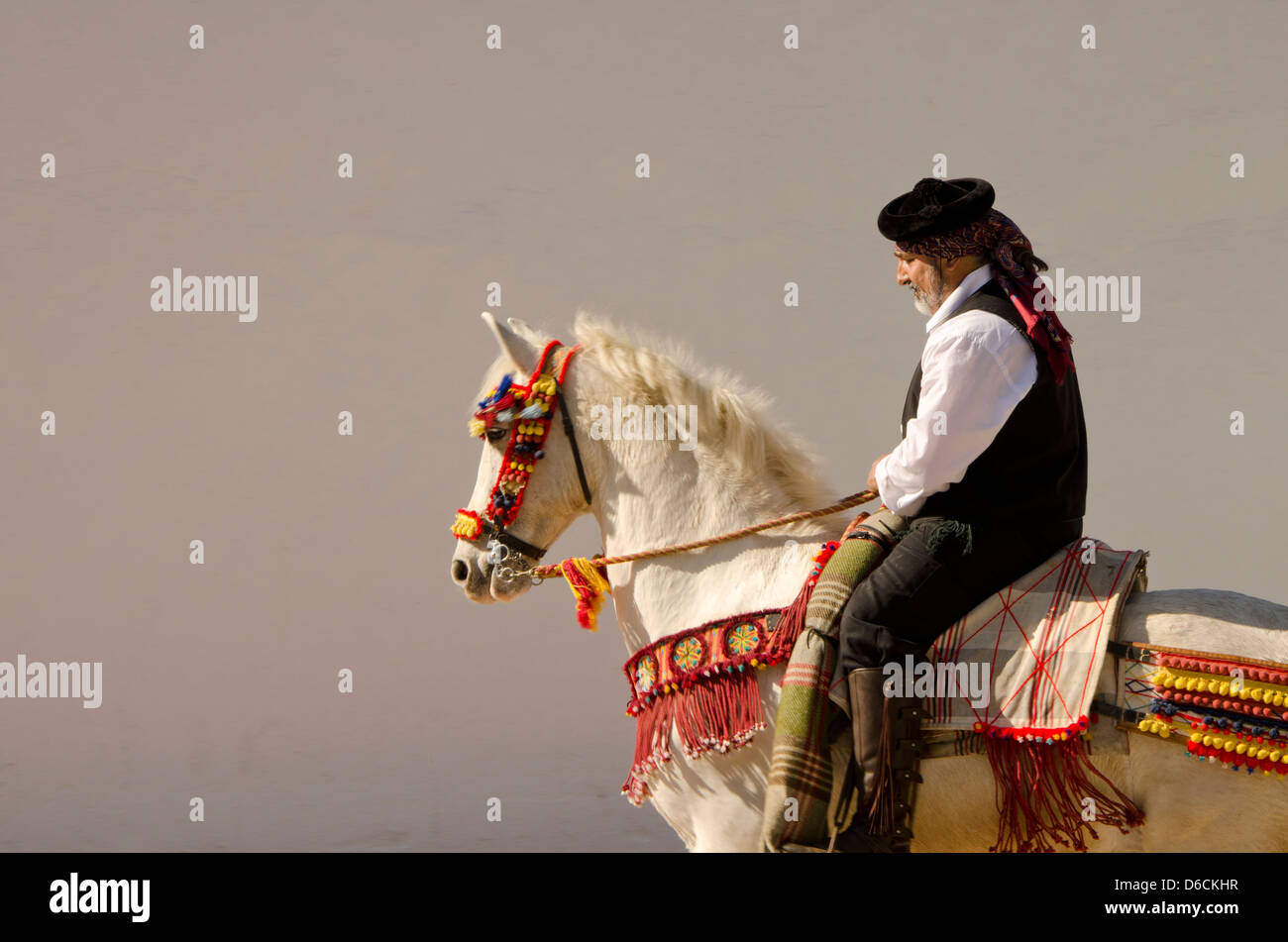 Spanish horse rider hi-res stock photography and images - Alamy