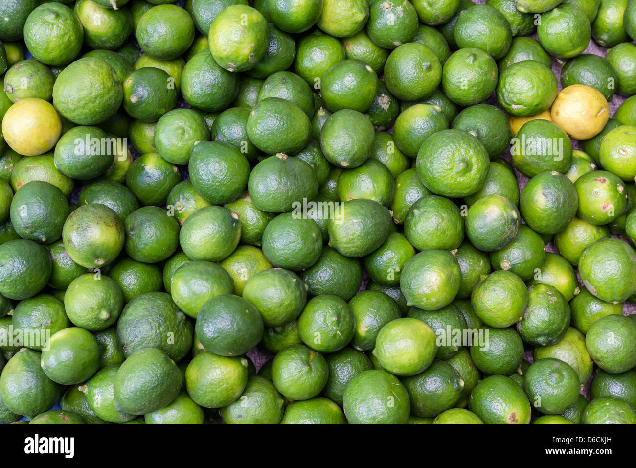 The picture shows a stack of fresh lime fruits on an asian market Stock ...
