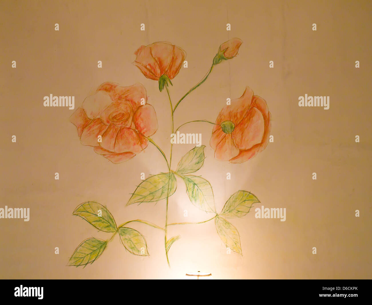 Pink roses on wall hi-res stock photography and images - Alamy