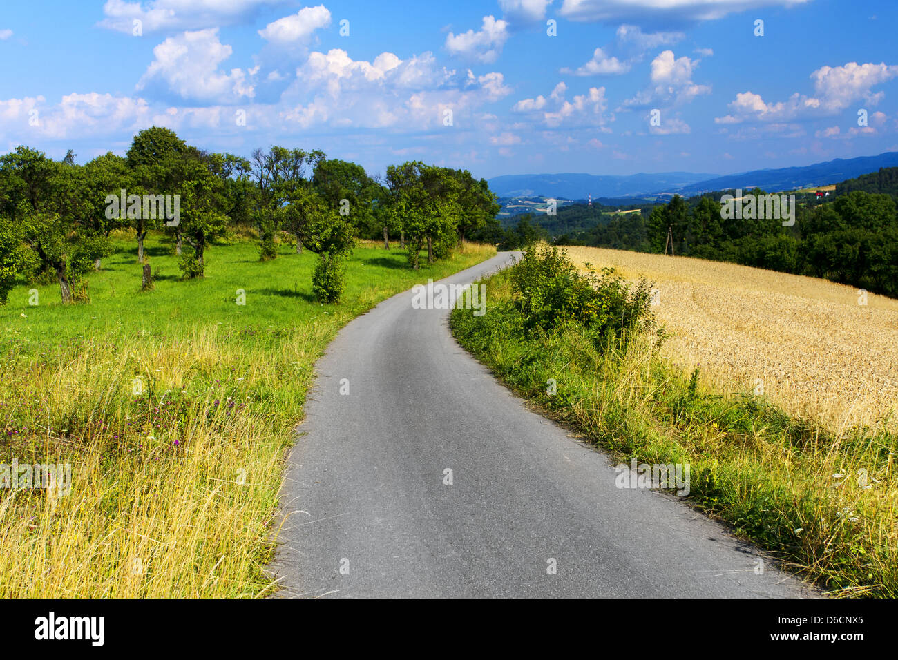 Road and summer landscape Stock Photo - Alamy