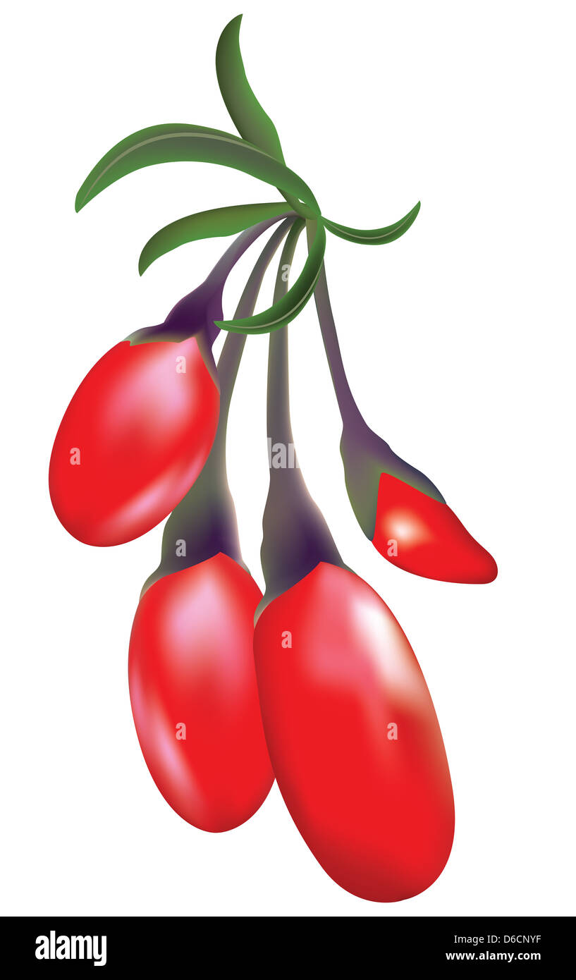Goji art Cut Out Stock Images & Pictures - Alamy