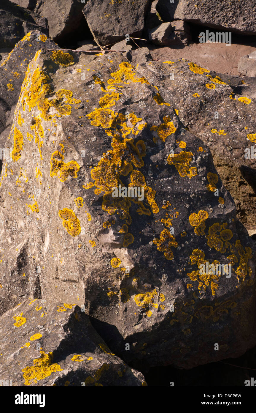 boulders, rocks, close up, river flood defences,texture, shadows, sun ...