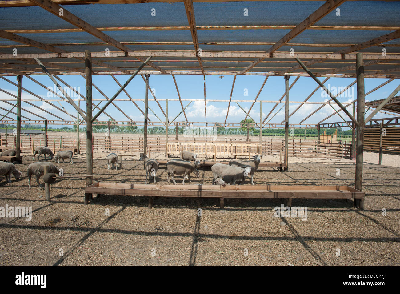 Sheep pens hi-res stock photography and images - Alamy