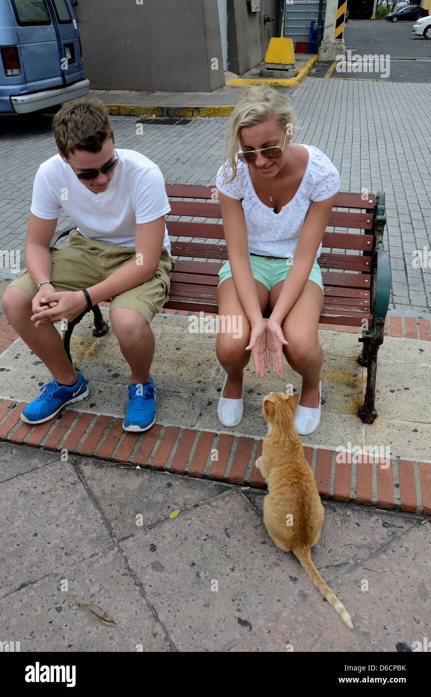 Cat approaching people in Old San Juan, Puerto Rico Stock Photo - Alamy