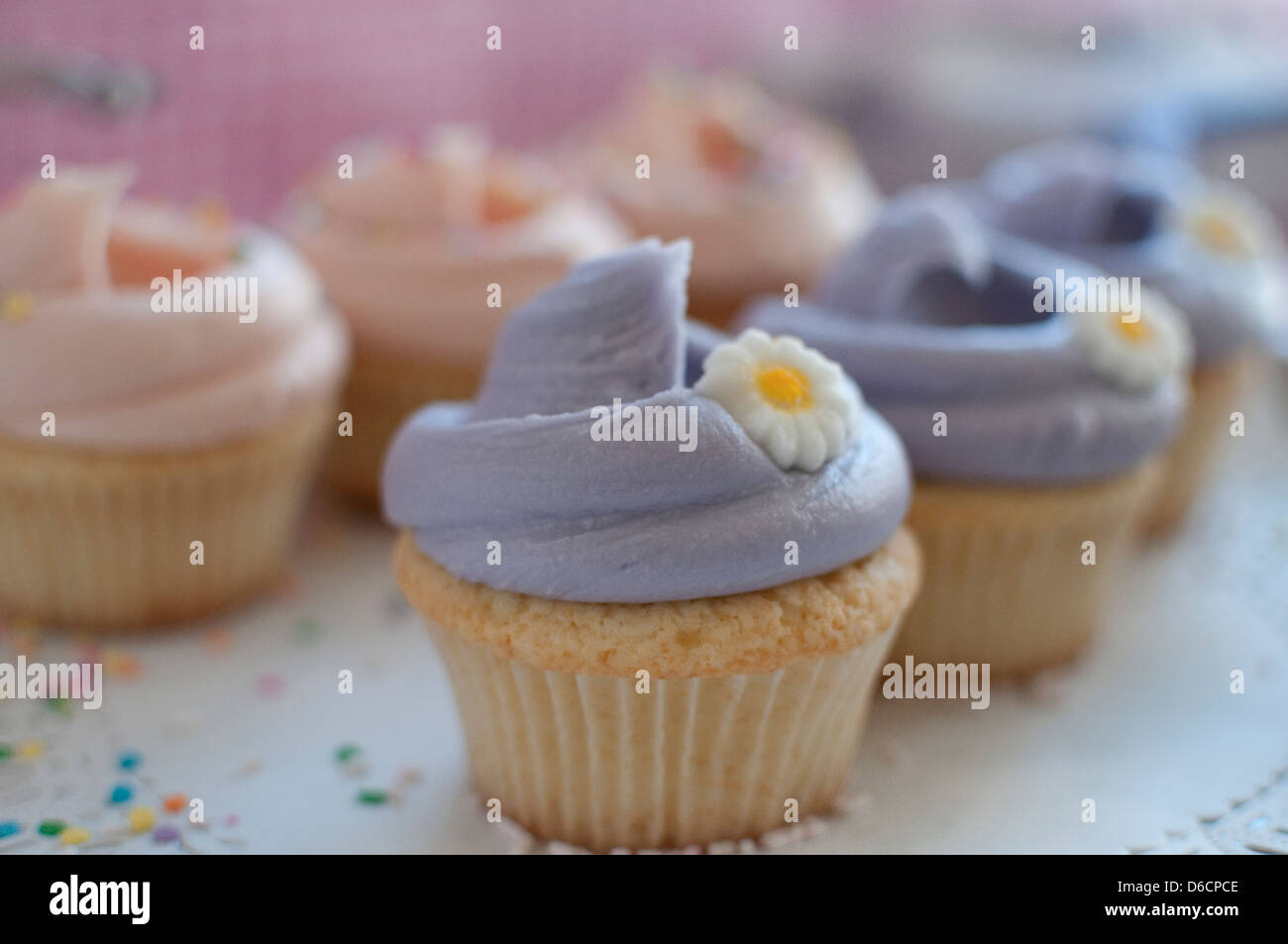 Cupcakes in a row Stock Photo - Alamy