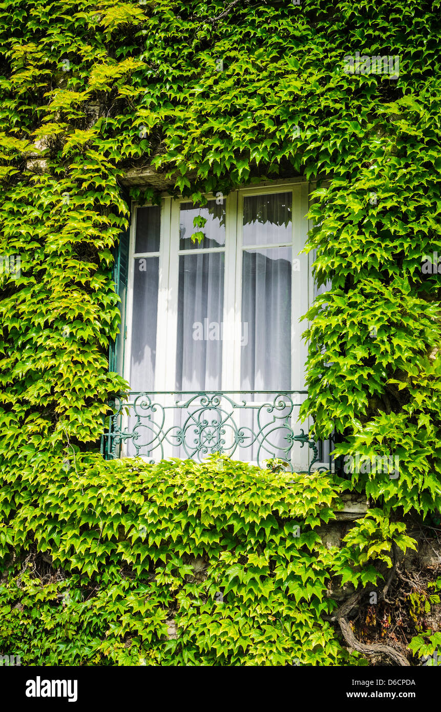 Ivy covered window at Claude Monet house and gardens, Giverny, France ...