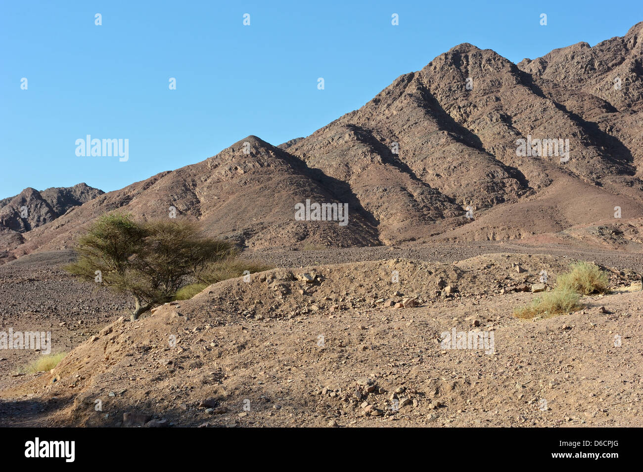 Timna National Park Stock Photo - Alamy