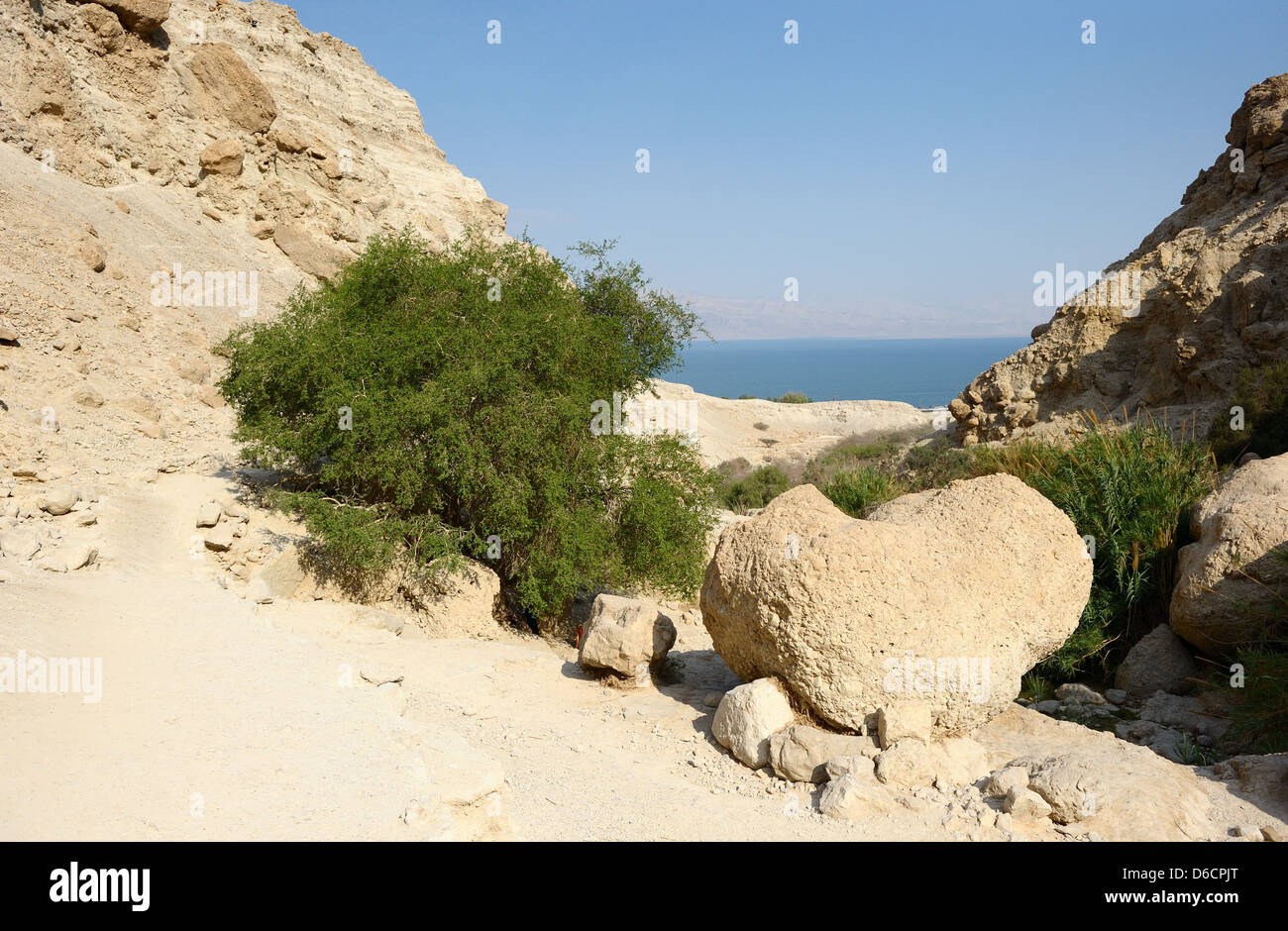 Ein Gedi Nature Reserve Stock Photo - Alamy