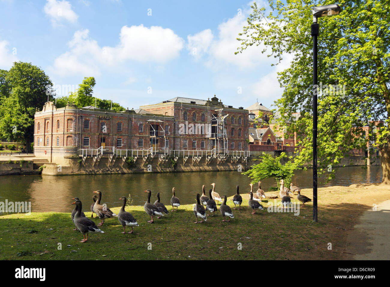 River park in York, UK Stock Photo - Alamy
