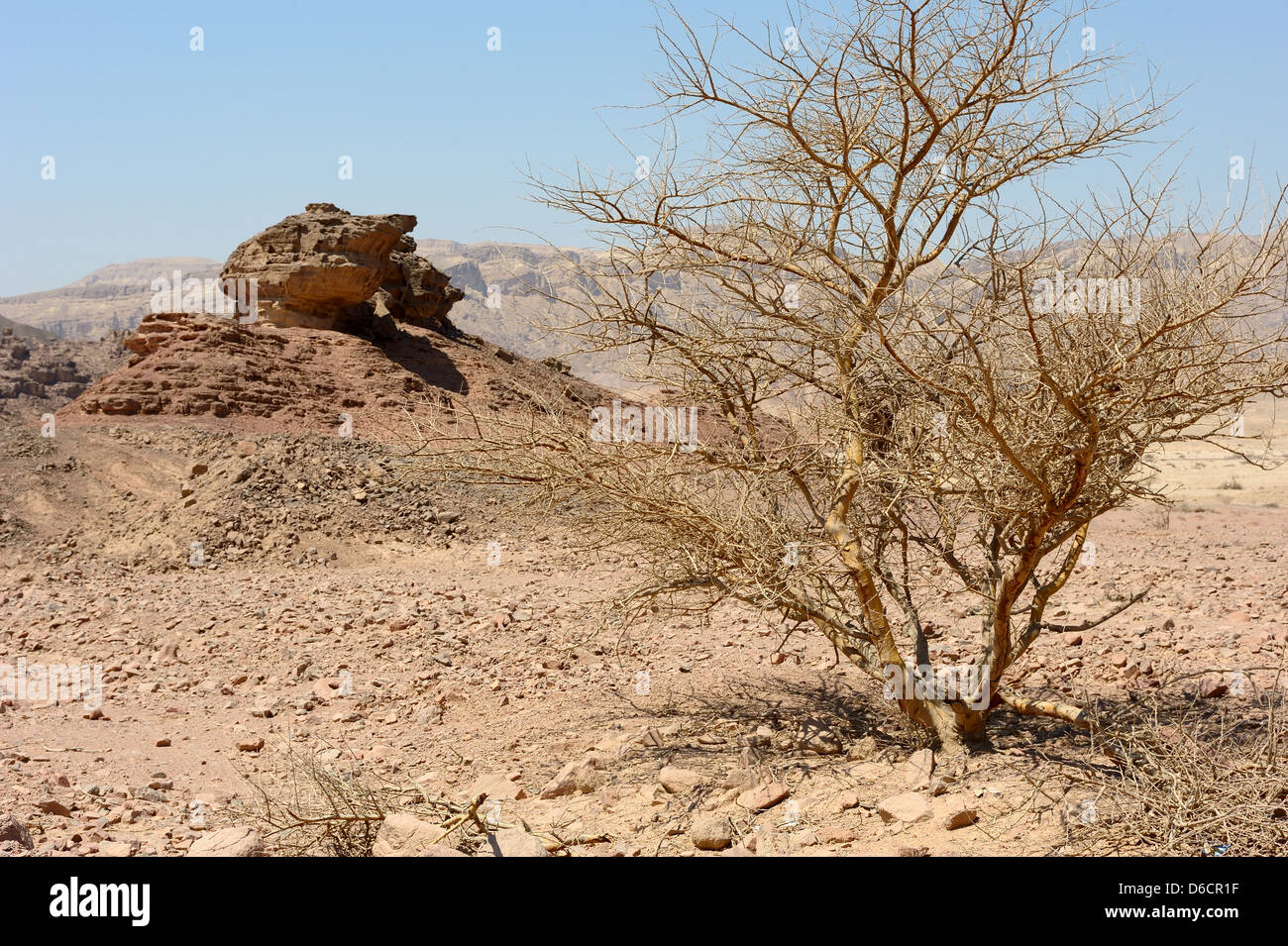 Timna National Park Stock Photo - Alamy