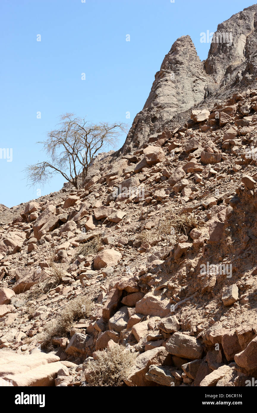 Timna National Park Stock Photo - Alamy
