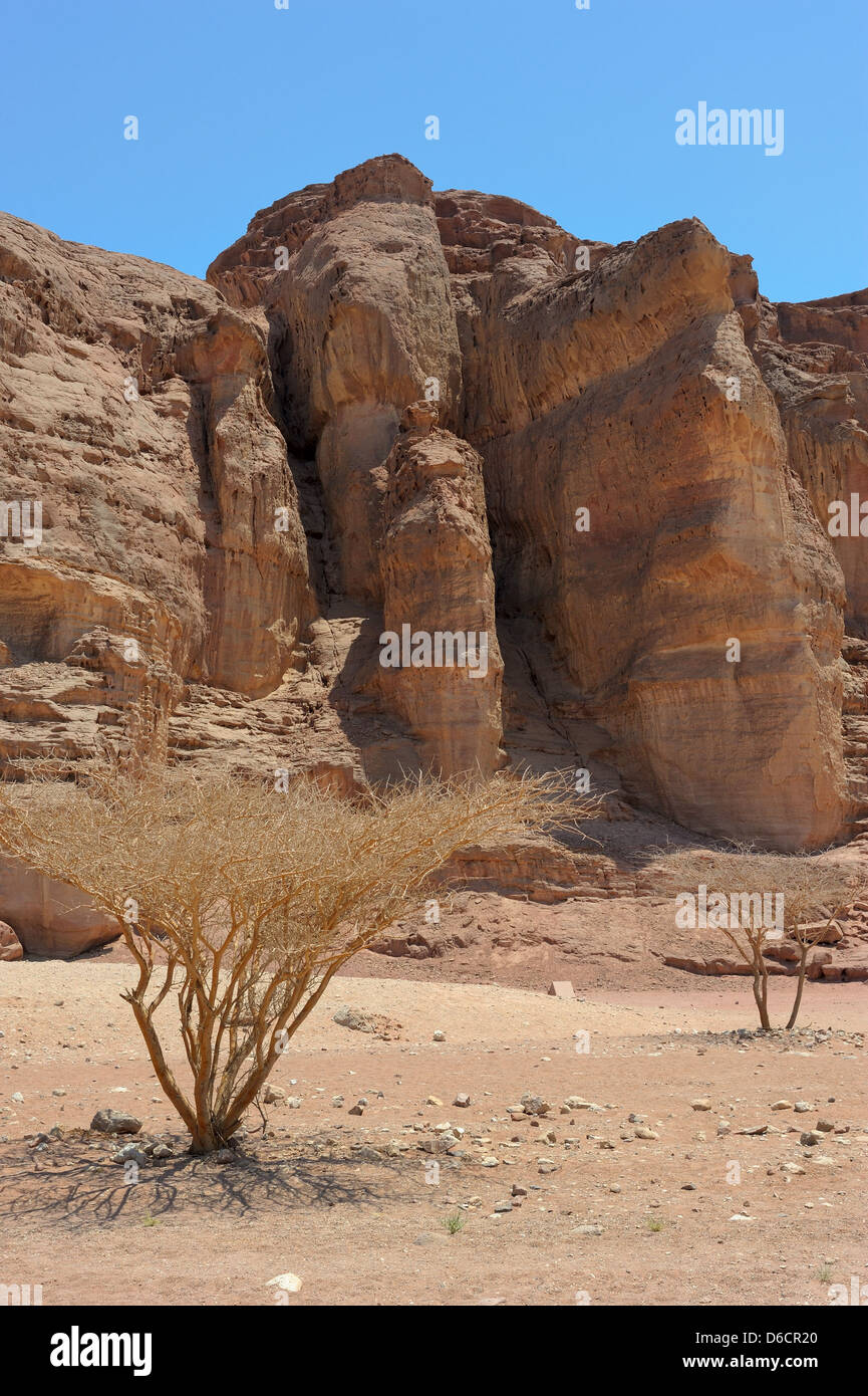 Timna National Park Stock Photo - Alamy