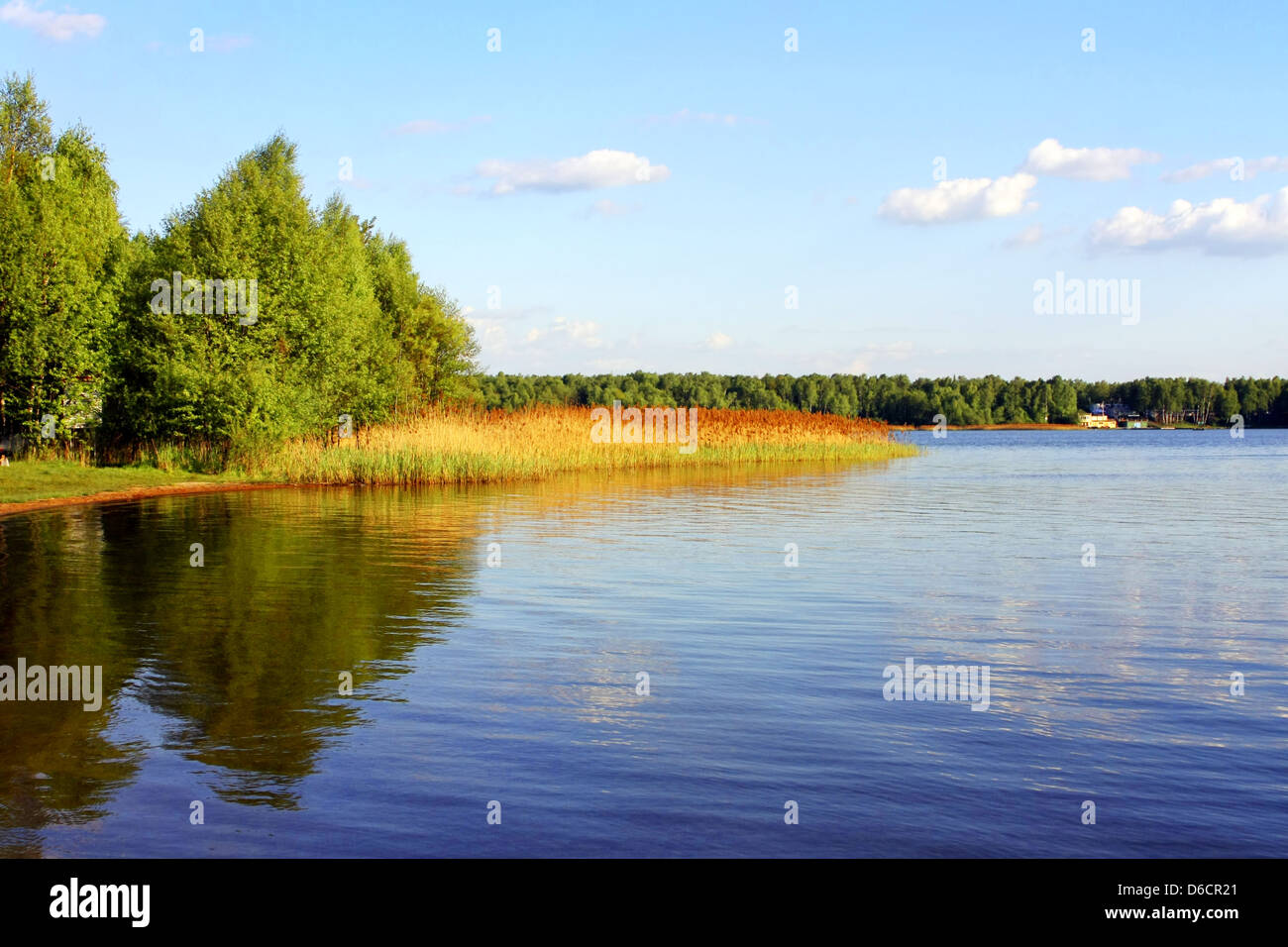 Beautiful summer lake Stock Photo - Alamy