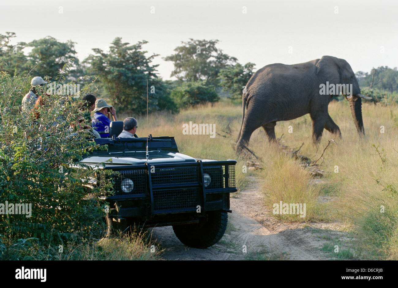 Mala Mala, South Africa, luxury tourism Mala Mala Game Reserve Stock ...