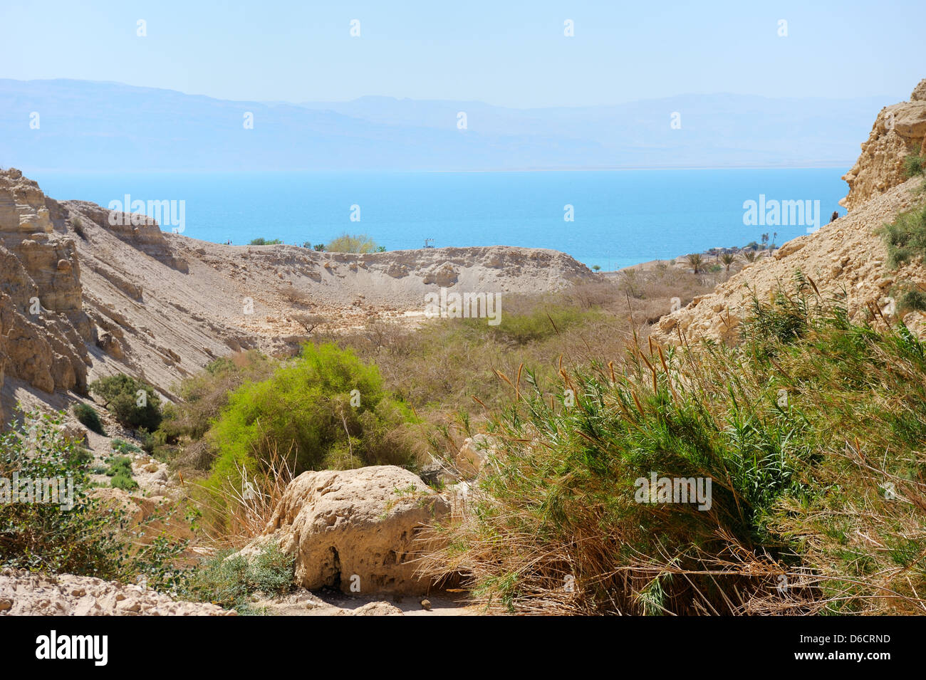 Ein Gedi Nature Reserve Stock Photo - Alamy