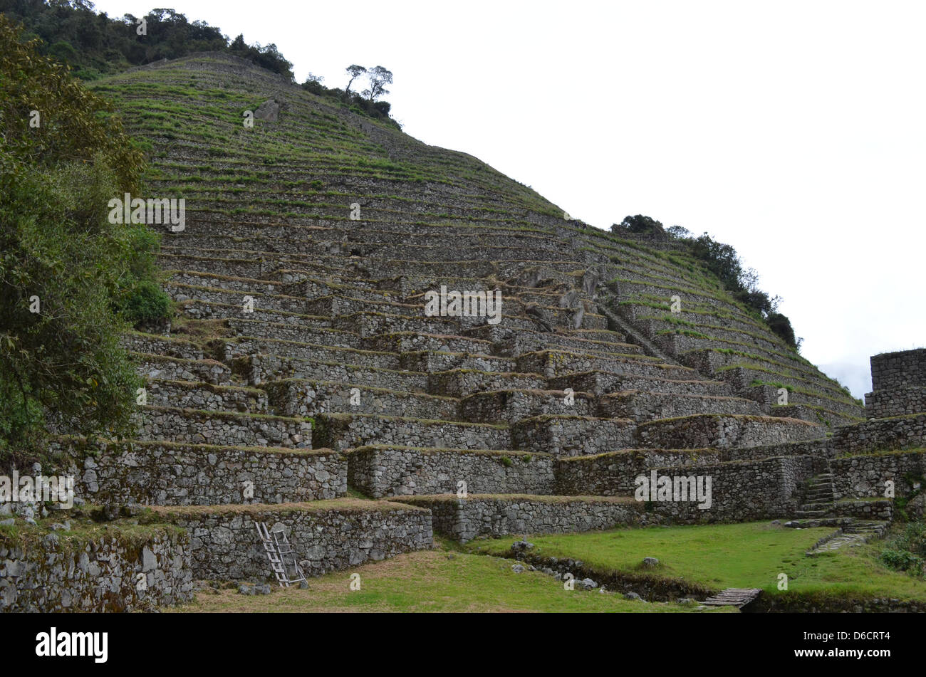Inca ruins at Winay Wayna on the Inca Trail to Machu Picchu Stock Photo ...