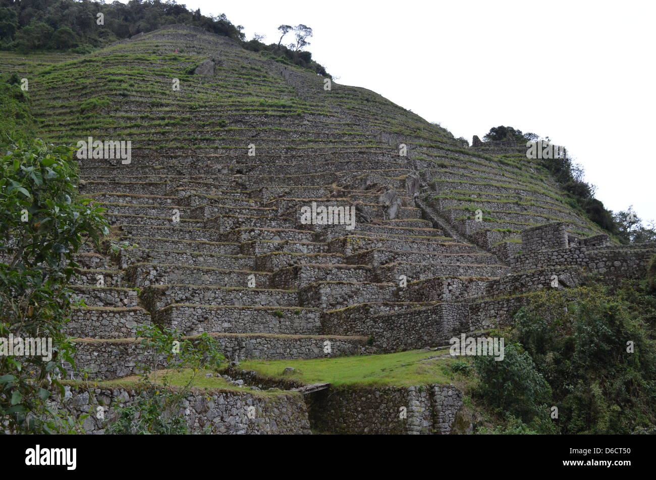 Inca ruins at Winay Wayna on the Inca Trail to Machu Picchu Stock Photo ...